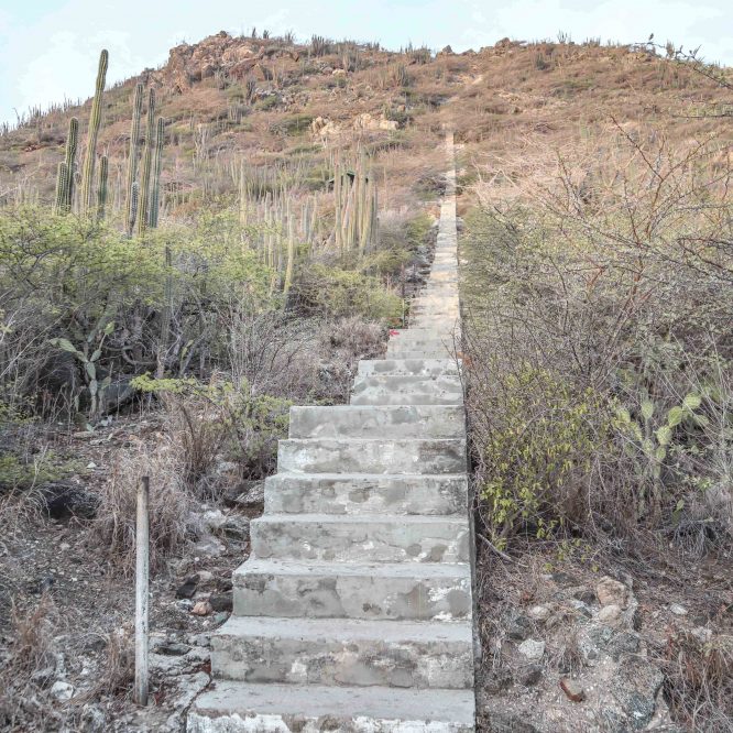 Things to do on a honeymoon in Aruba » Tibi lost in nature