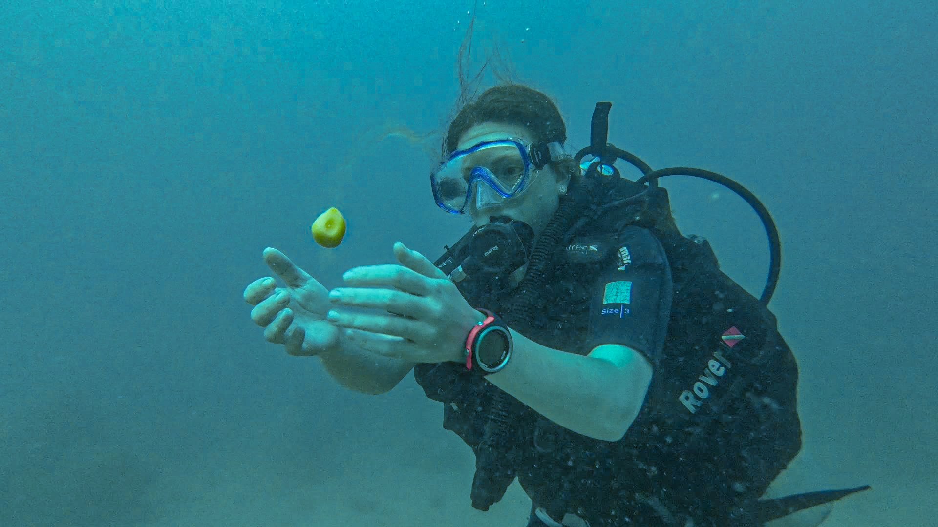Advanced Open Water course in Malaysia » Tibi lost in nature