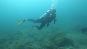 Diving in the beauty of Oman » Tibi lost in nature