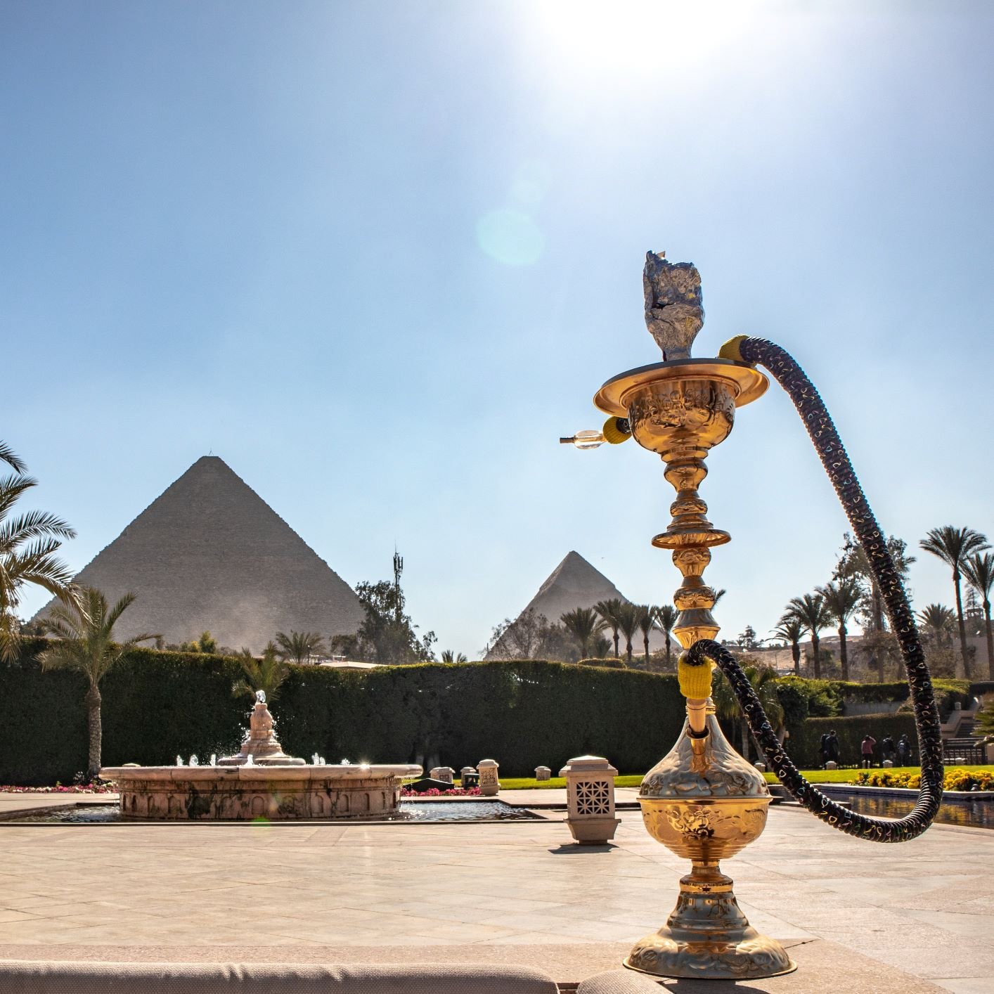 The things you must do in the mysterious Egypt » Tibi lost in nature